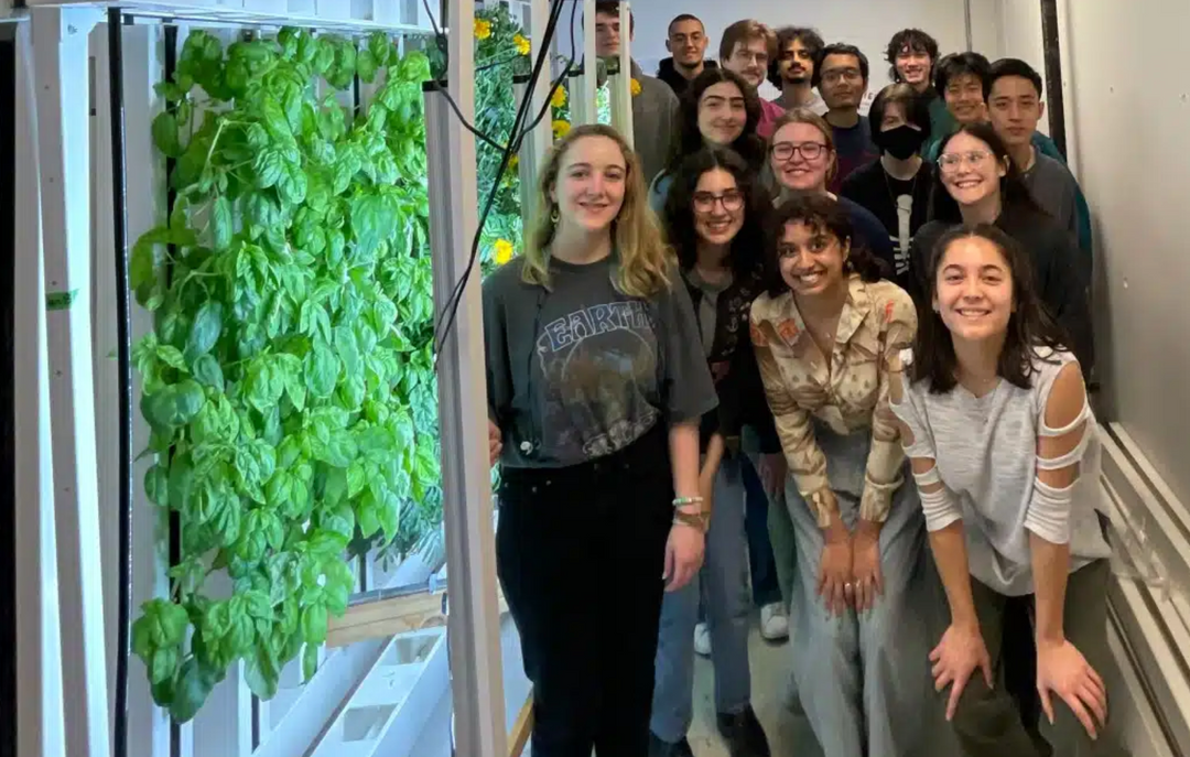 Science Behind Vertical Farming – Hardee Greens
